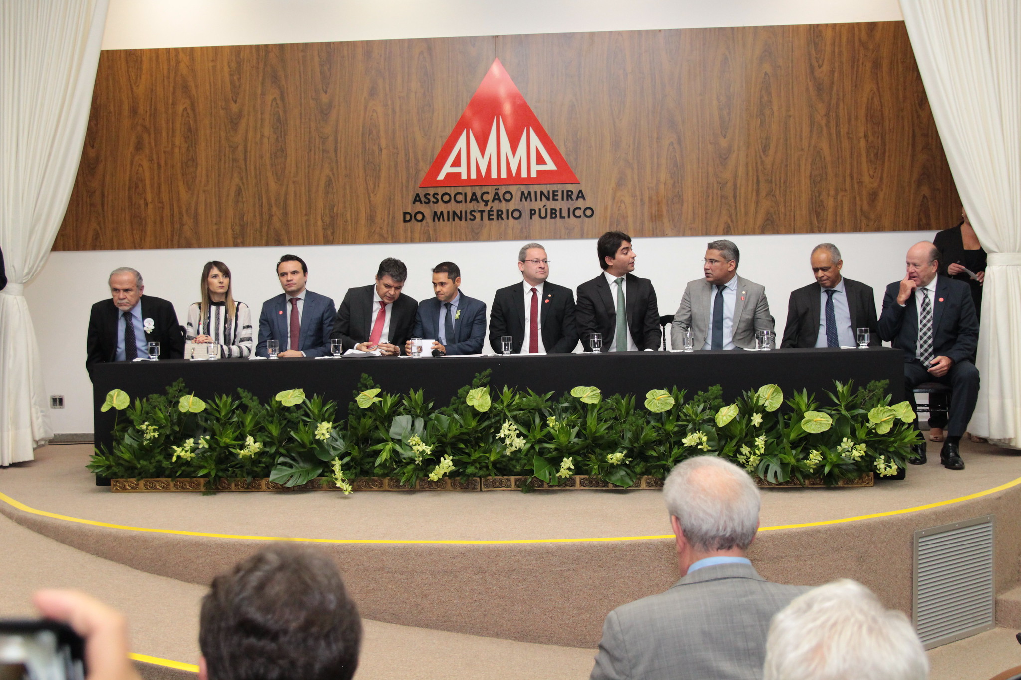 Institucional - AMMP